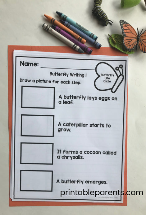 Butterfly Life Cycle Worksheets – Printable Parents
