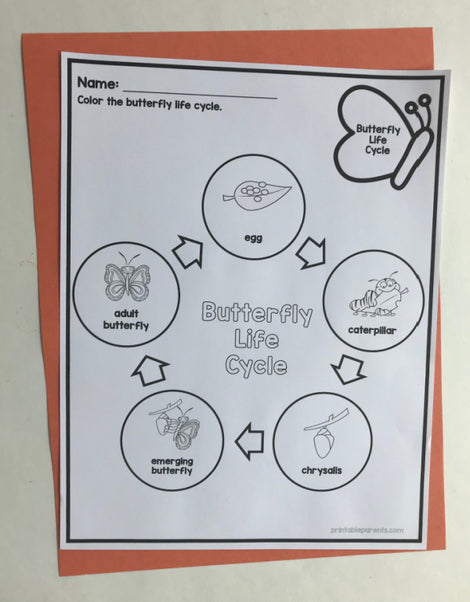 Life Cycles Bundles – Printable Parents